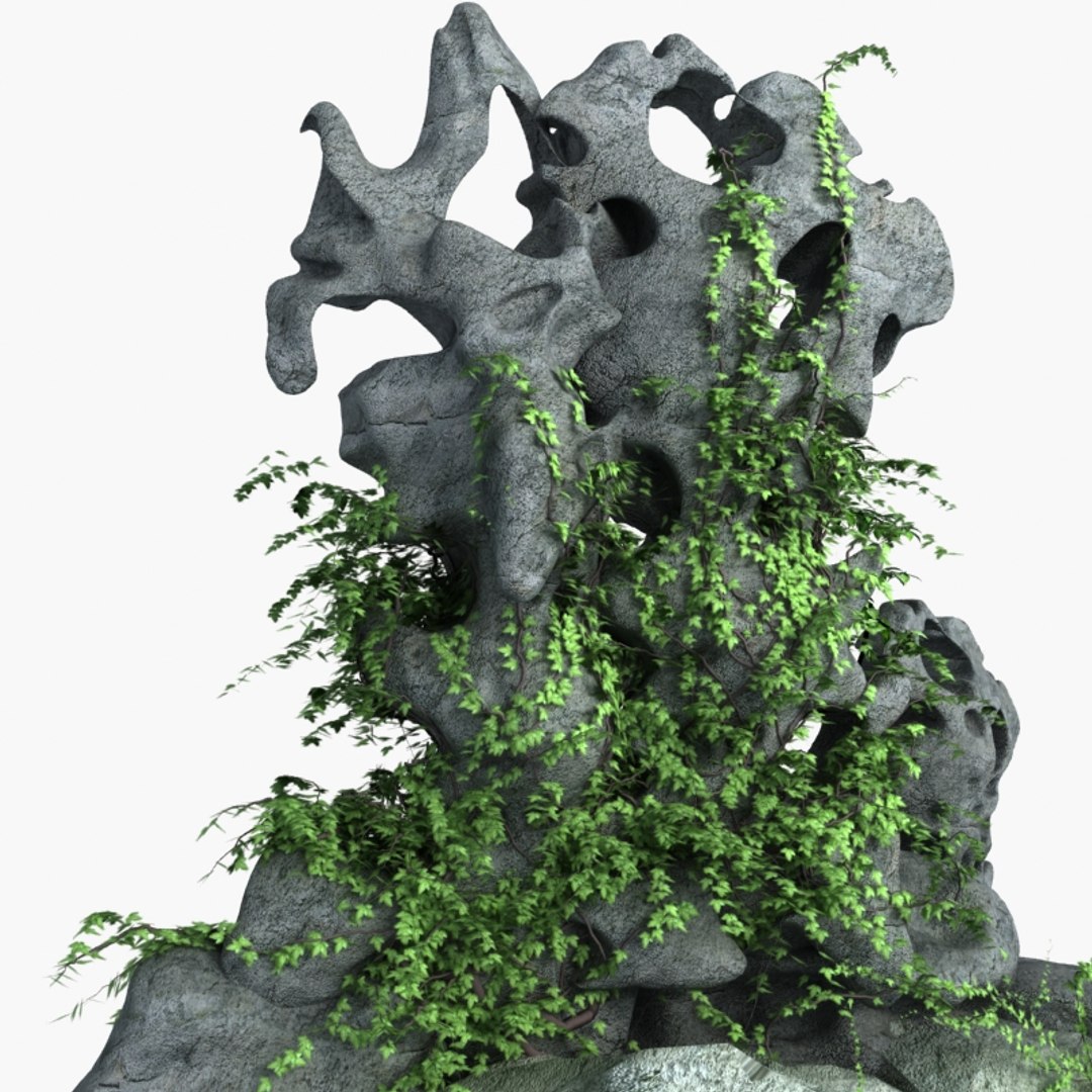 Stone Vine 3D Model - TurboSquid 1495425