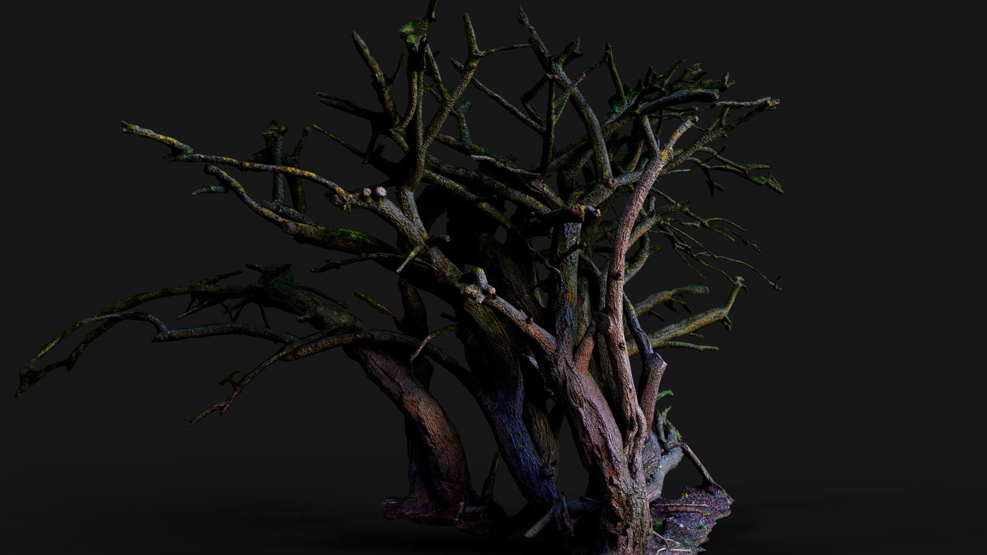 Bush Dry Dense Branches PBR Photogrammetry 3D Model - TurboSquid 2420677