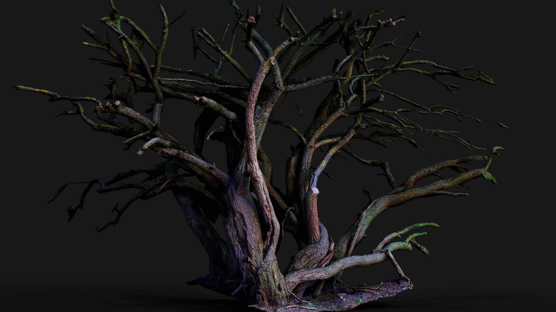 Bush Dry Dense Branches PBR Photogrammetry 3D Model - TurboSquid 2420677