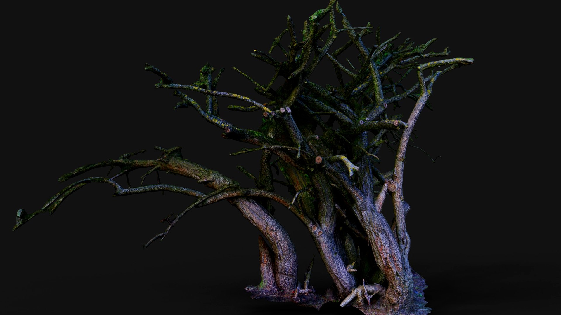Bush Dry Dense Branches PBR Photogrammetry 3D Model - TurboSquid 2420677