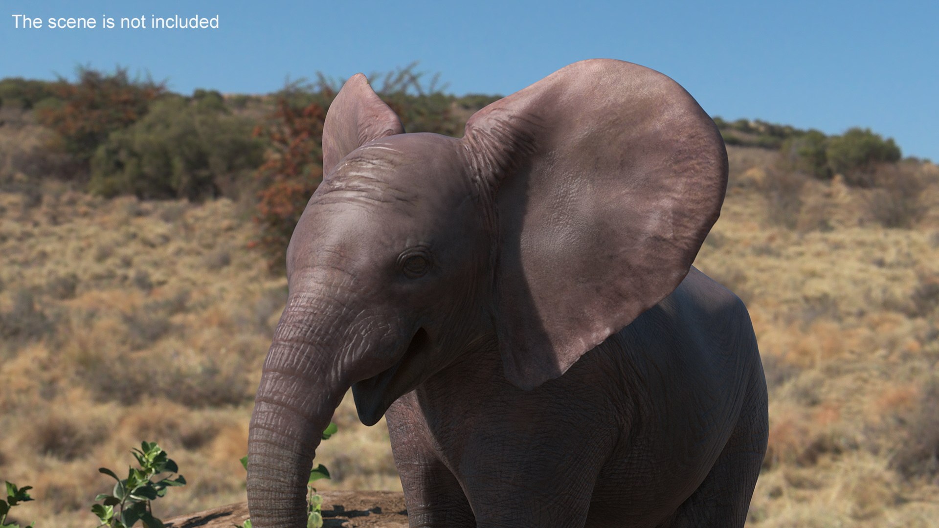 Baby Elephant Rigged For Cinema 4D 3D Model - TurboSquid 2346162