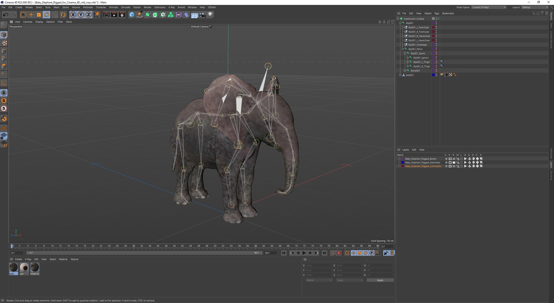 Baby Elephant Rigged For Cinema 4D 3D Model - TurboSquid 2346162