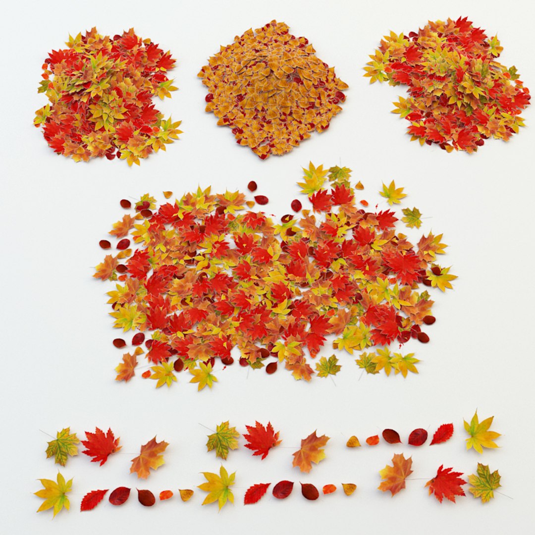 Autumn Leaves 3d Max