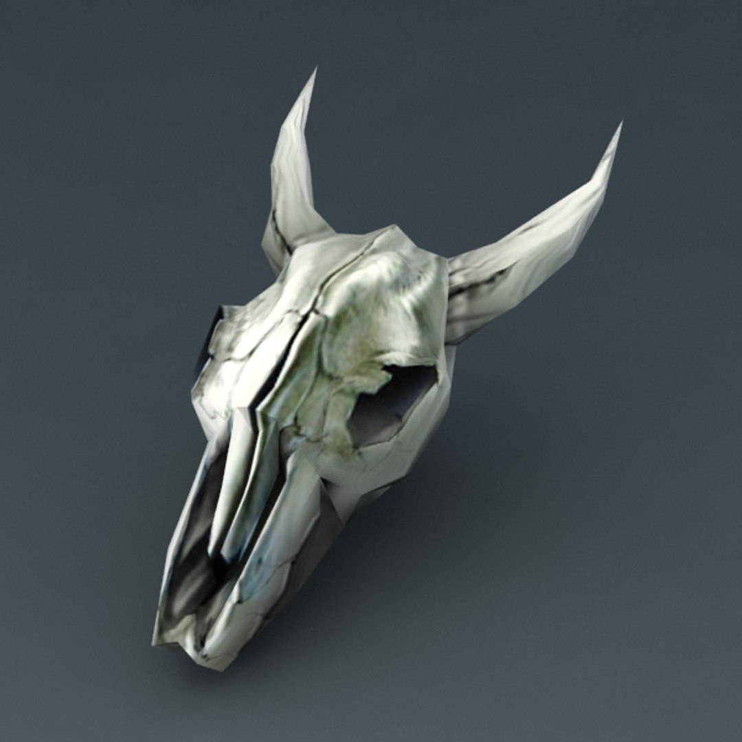 3d cow skull