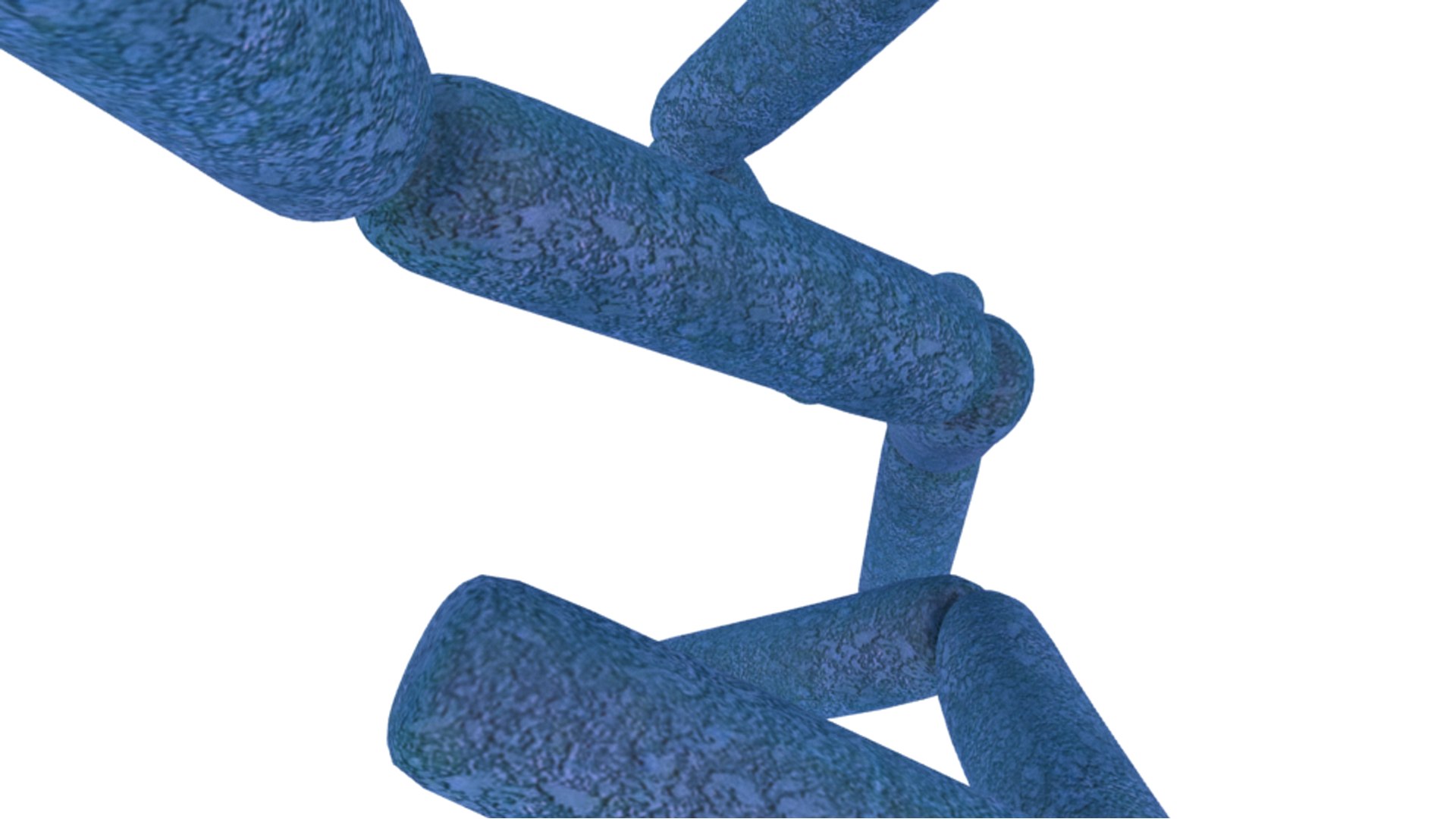 Bacillus 3D Model - TurboSquid 2049229