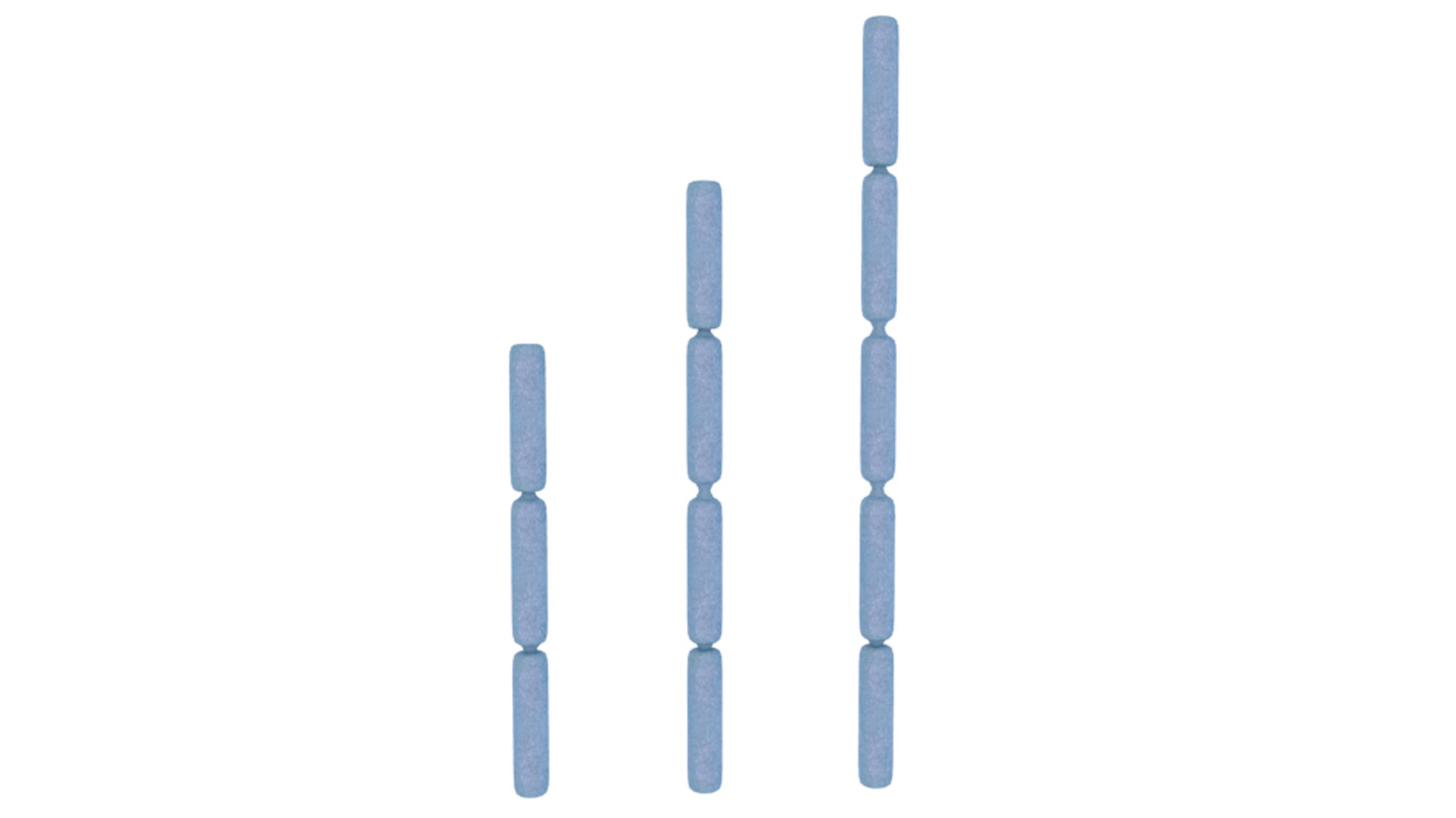 Bacillus 3D Model - TurboSquid 2049229