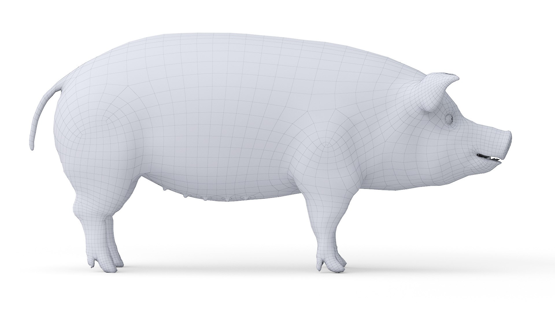 3D Pig Body Skeleton and Muscles Static model - TurboSquid 1762981