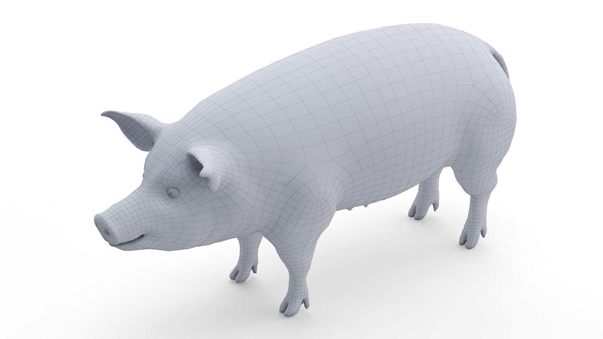 3D Pig Body Skeleton and Muscles Static model - TurboSquid 1762981