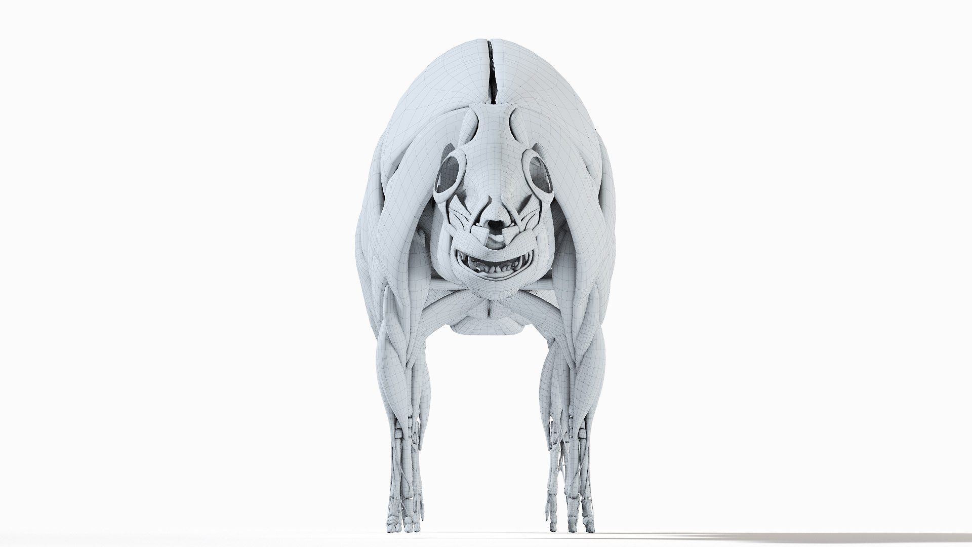 3D Pig Body Skeleton and Muscles Static model - TurboSquid 1762981
