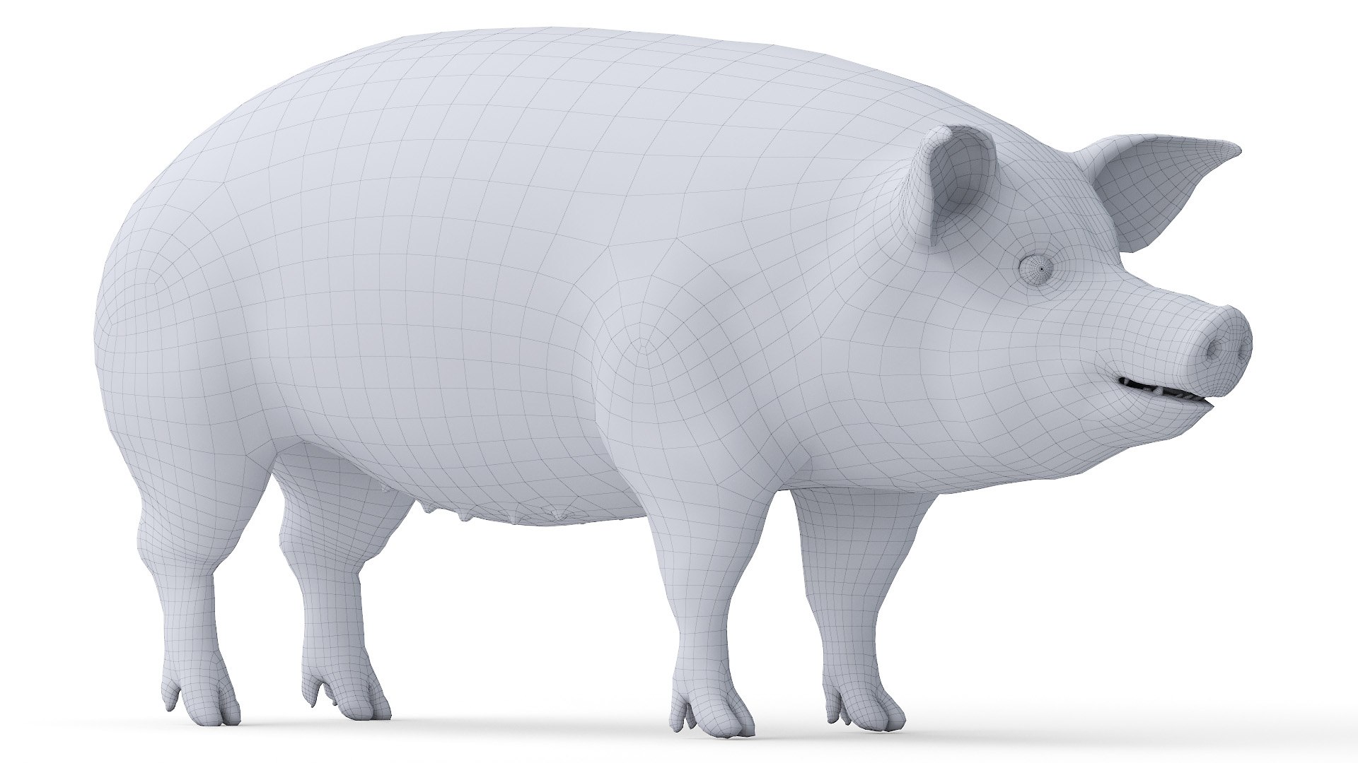 3D Pig Body Skeleton and Muscles Static model - TurboSquid 1762981