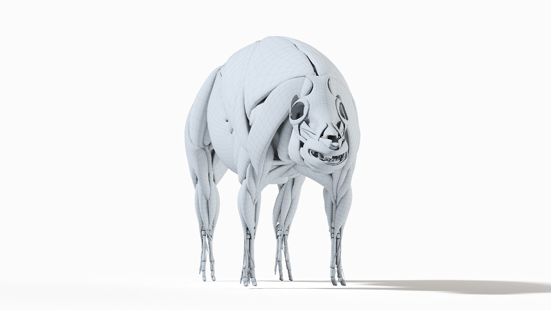3D Pig Body Skeleton and Muscles Static model - TurboSquid 1762981