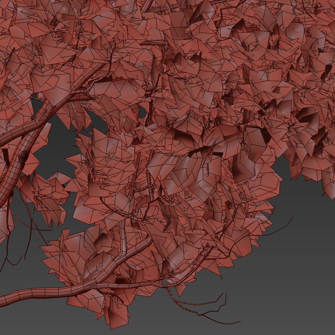 3D Red Shanks Model - TurboSquid 1952783