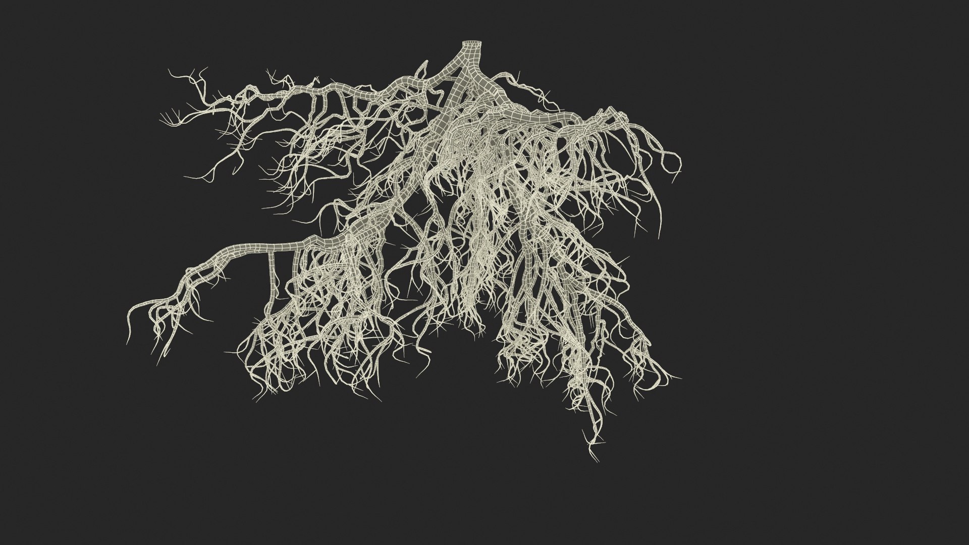 Tree Roots 3D - TurboSquid 2315121