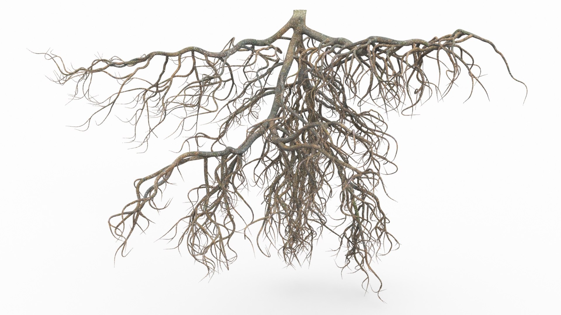 Tree Roots 3D - TurboSquid 2315121