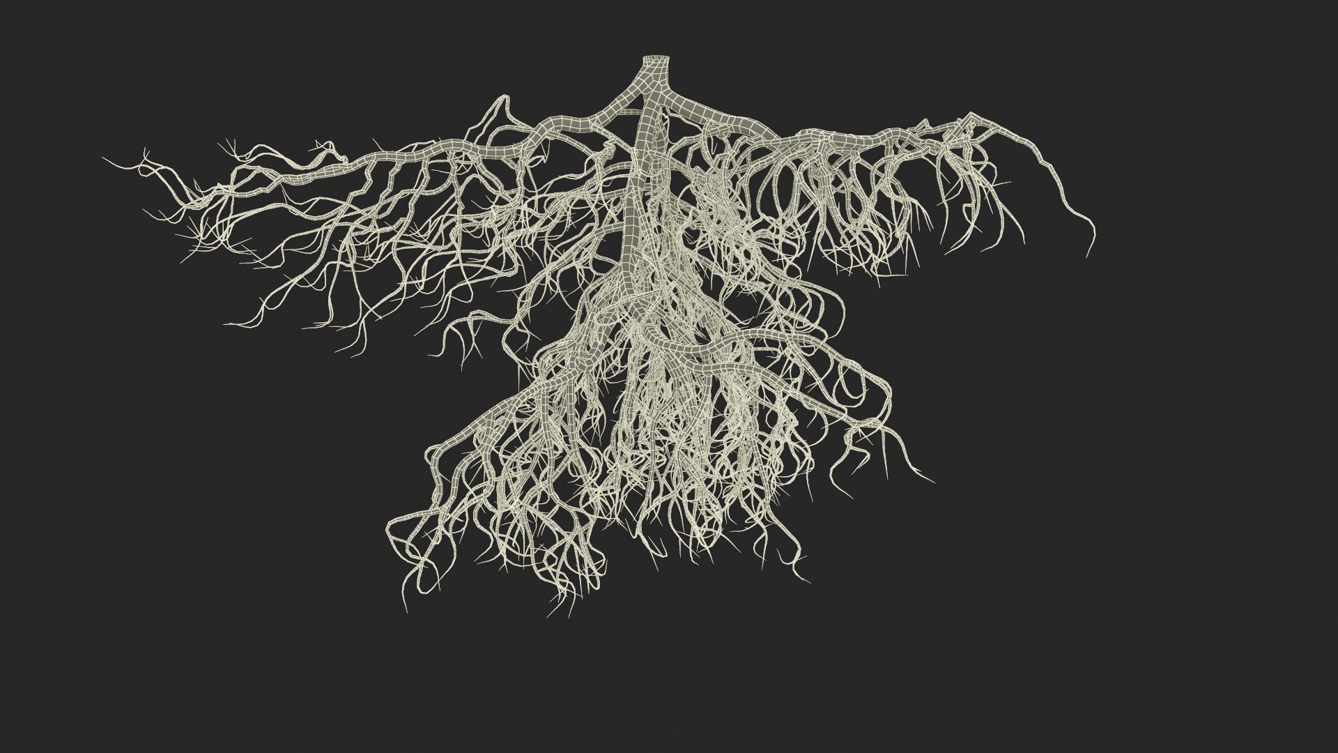 Tree Roots 3D - TurboSquid 2315121