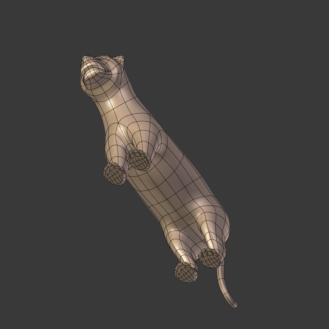 Tiger 3d Model
