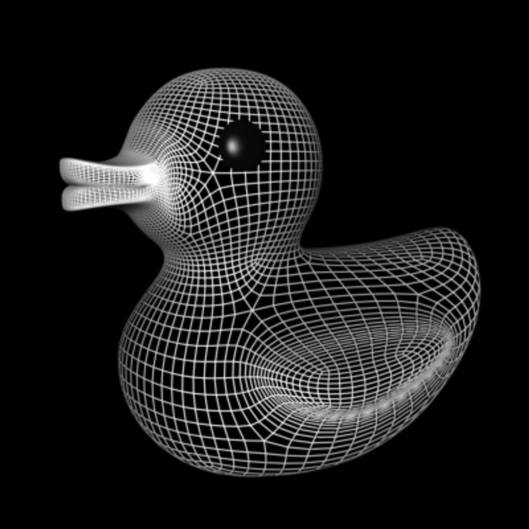 Duck Ducky 3d Model