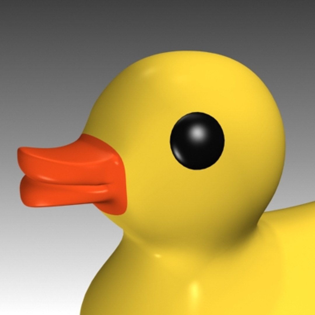 Duck Ducky 3d Model