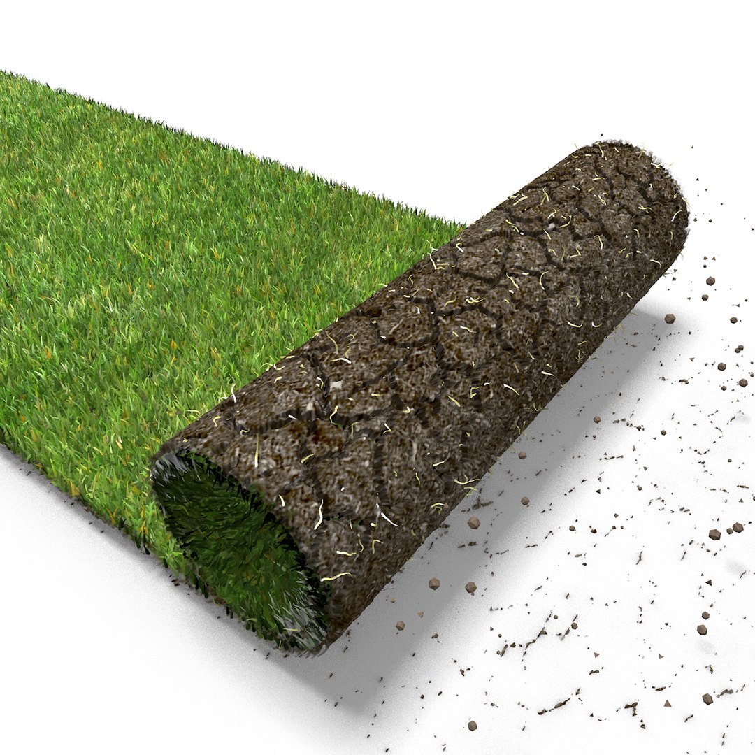 3d Model Turf Roll