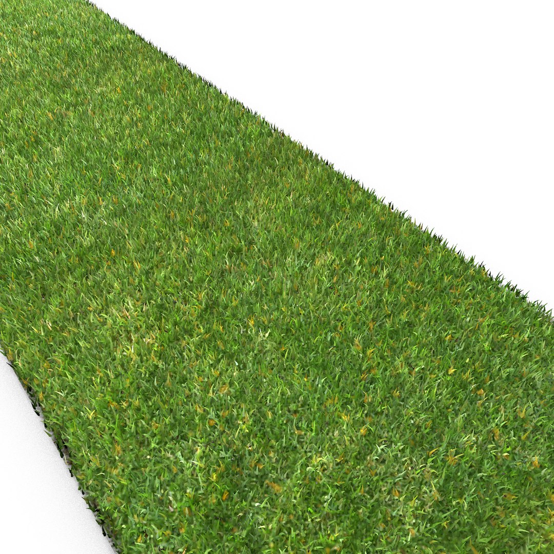 3d Model Turf Roll