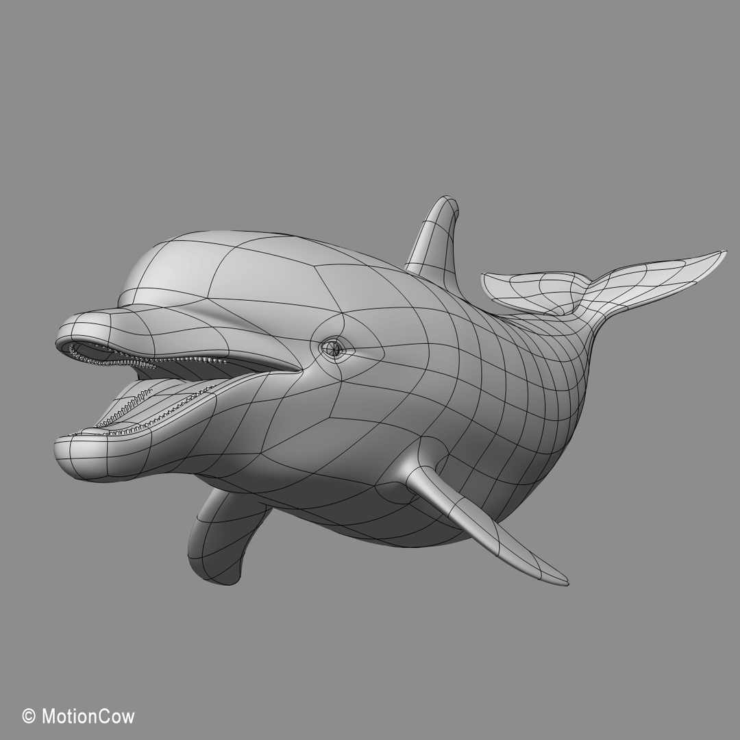 bottlenose dolphin 3d model