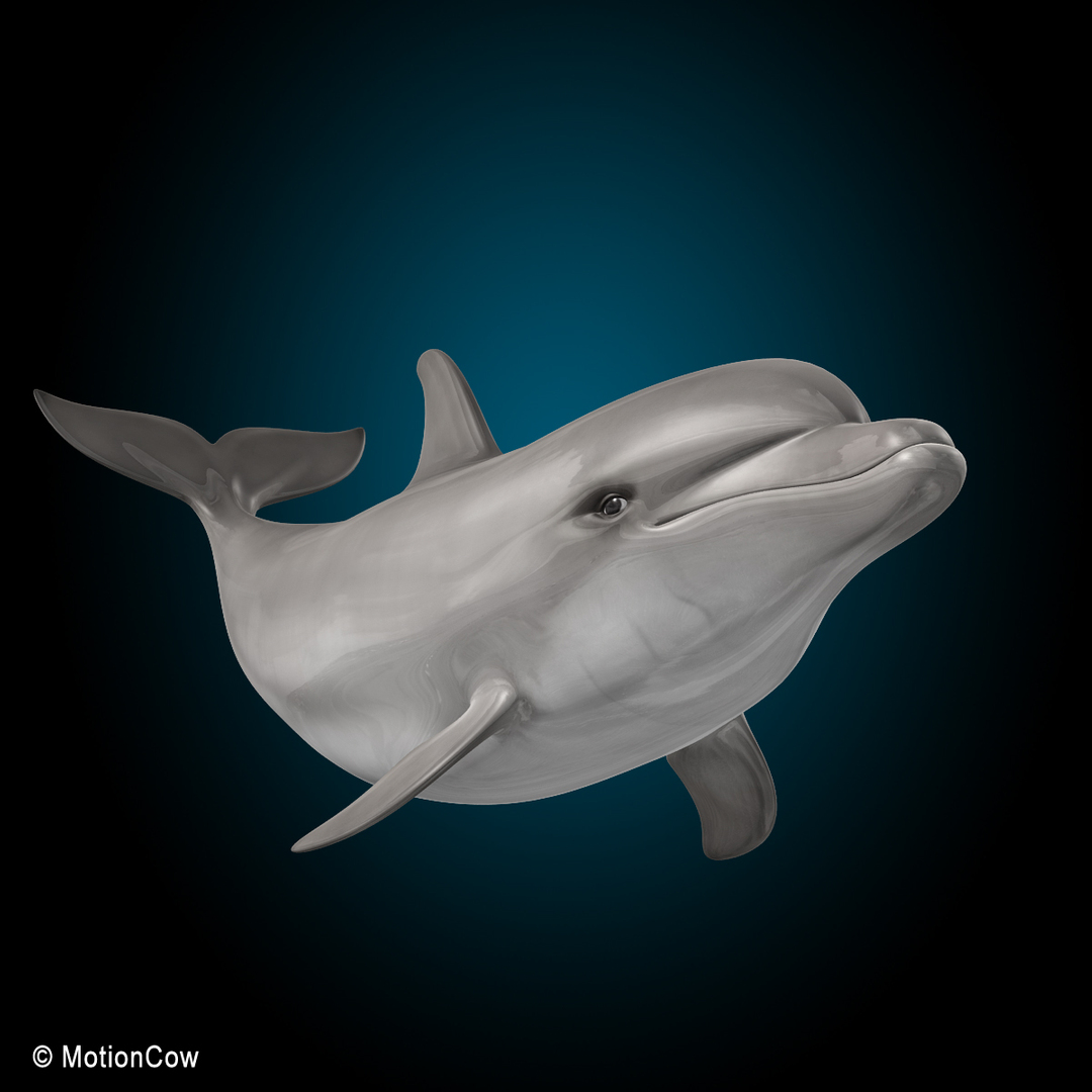 bottlenose dolphin 3d model