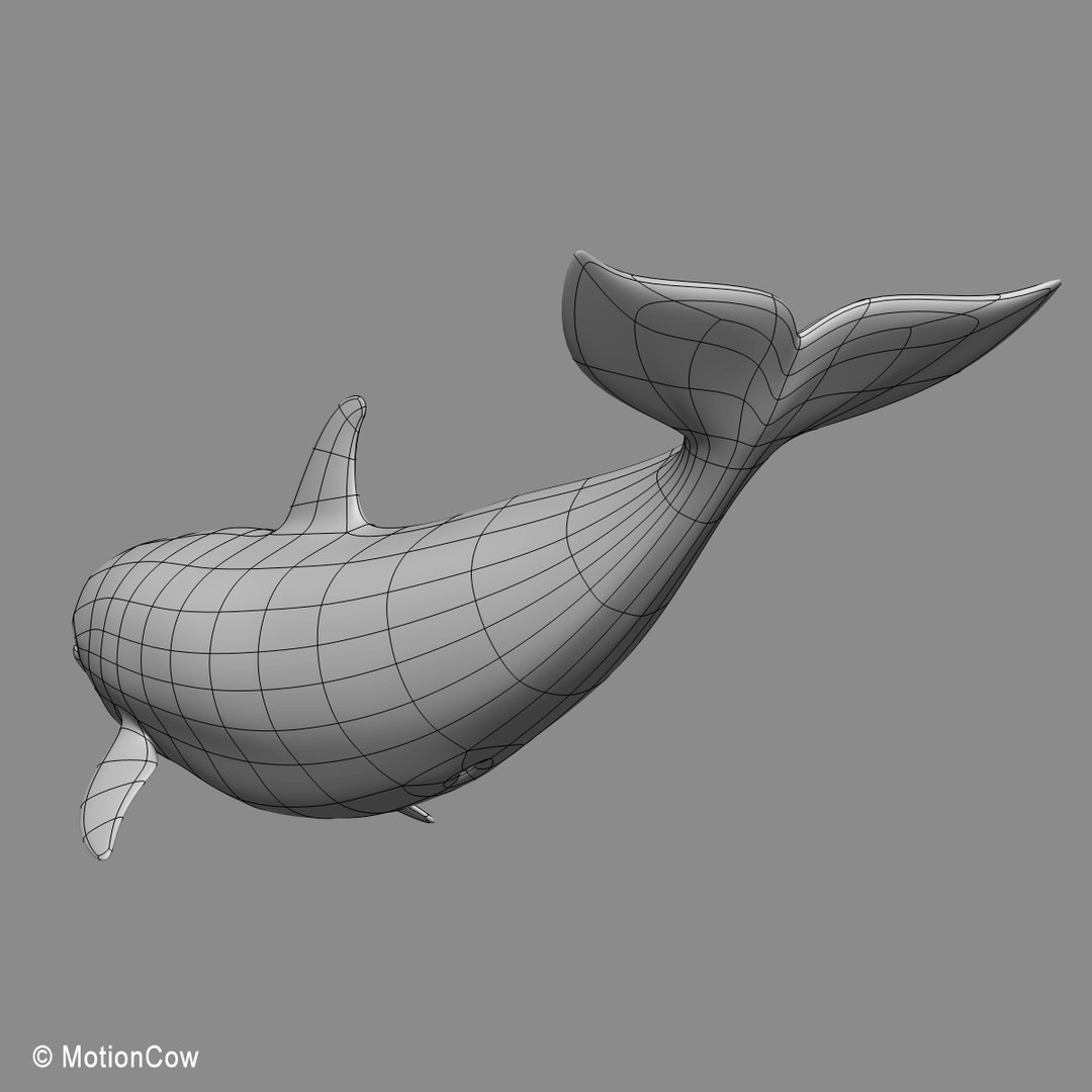 Bottlenose Dolphin 3d Model