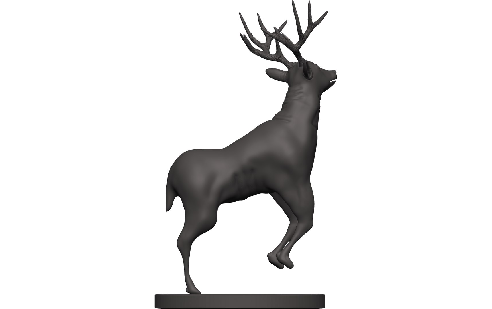 3D Mule Deer Model - TurboSquid 1850436
