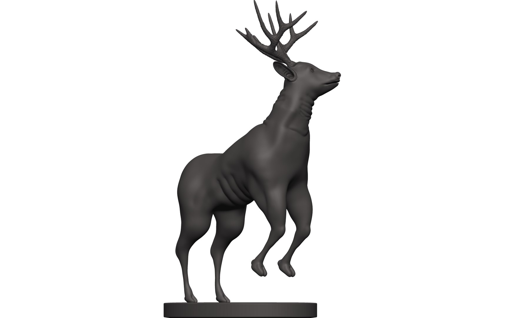 3D Mule Deer Model - TurboSquid 1850436