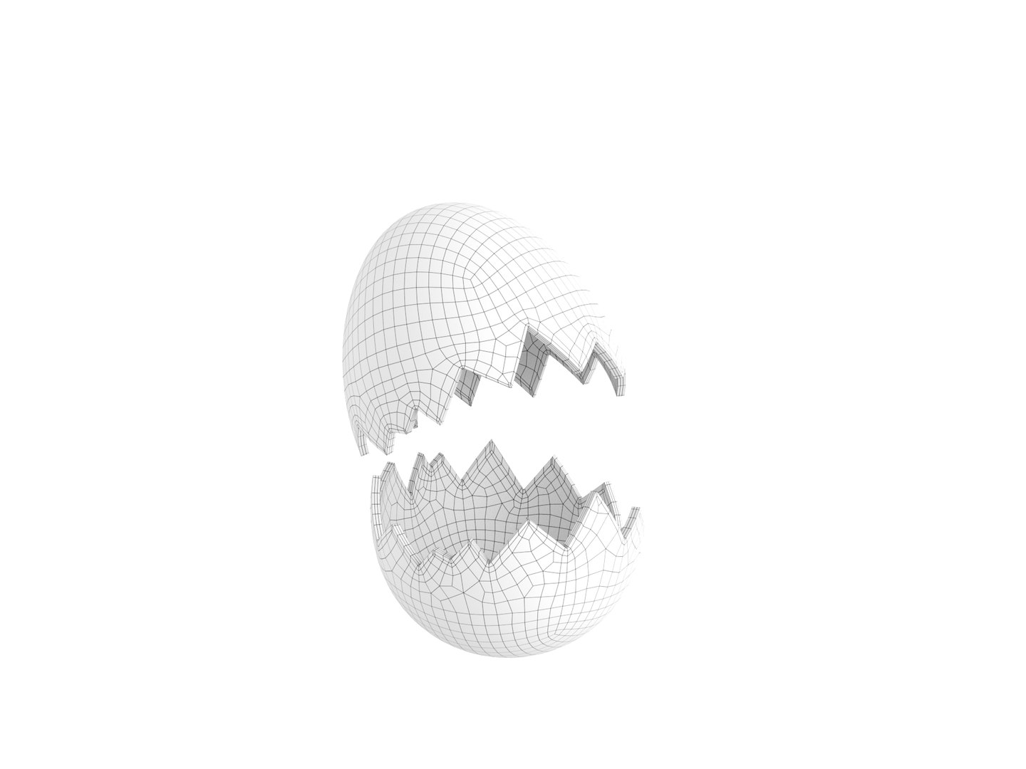 Egg shell 3D model - TurboSquid 1593515