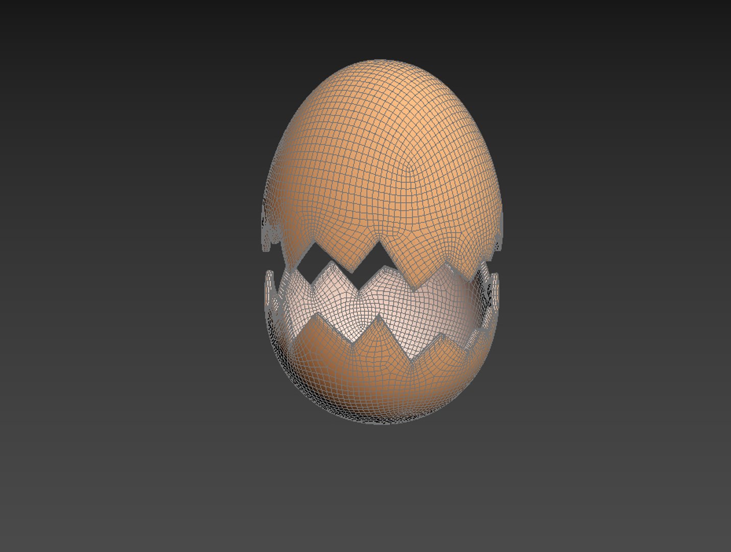 Egg shell 3D model - TurboSquid 1593515