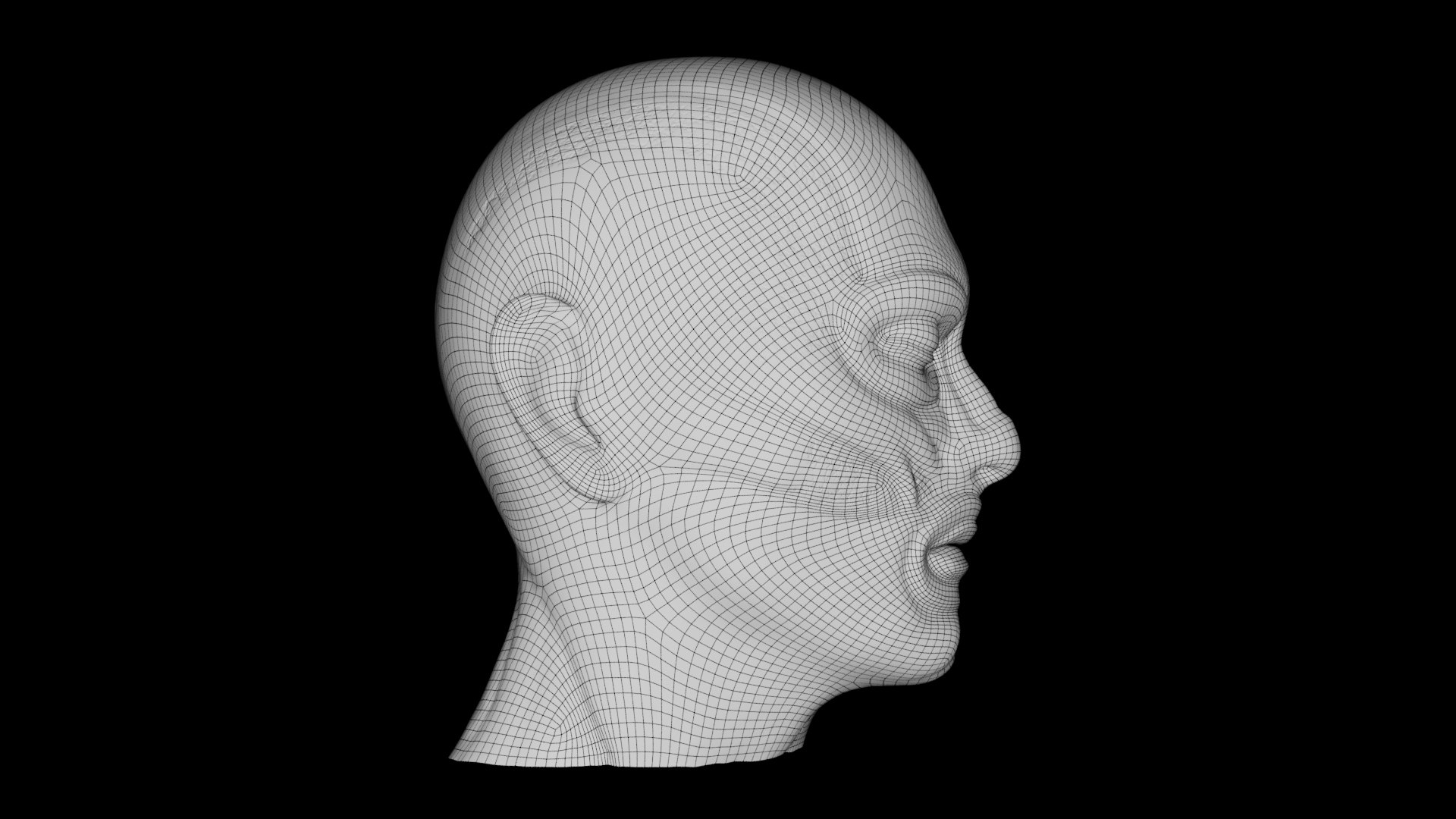 Human Anatomy-Muscular System-Head Anterior Superficial View Model ...