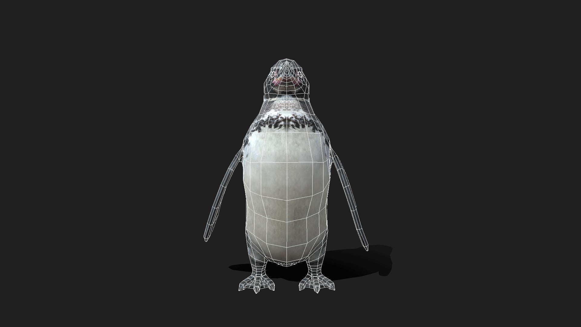 Penguin Bird Animal 3D - TurboSquid 1688380
