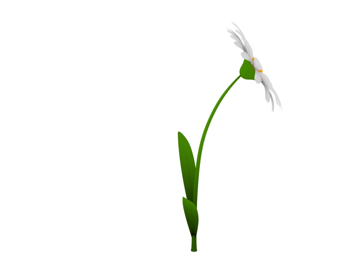 3D Daisy Cartoon Model - TurboSquid 1369550
