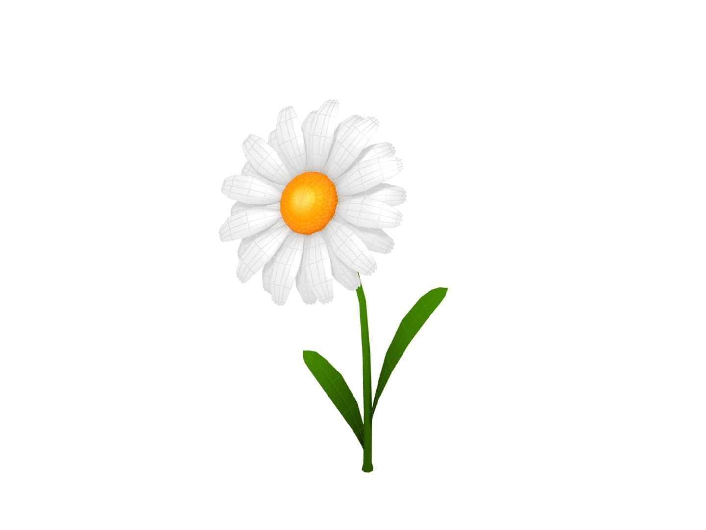 3D Daisy Cartoon Model - TurboSquid 1369550