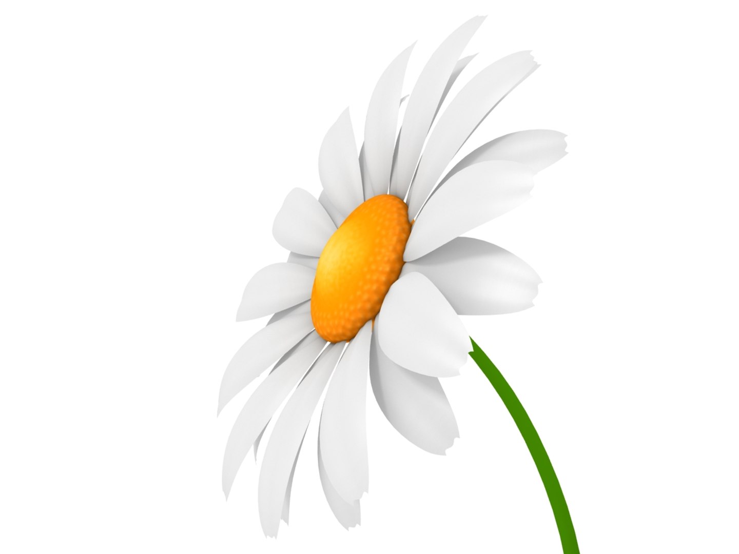 3D Daisy Cartoon Model - TurboSquid 1369550