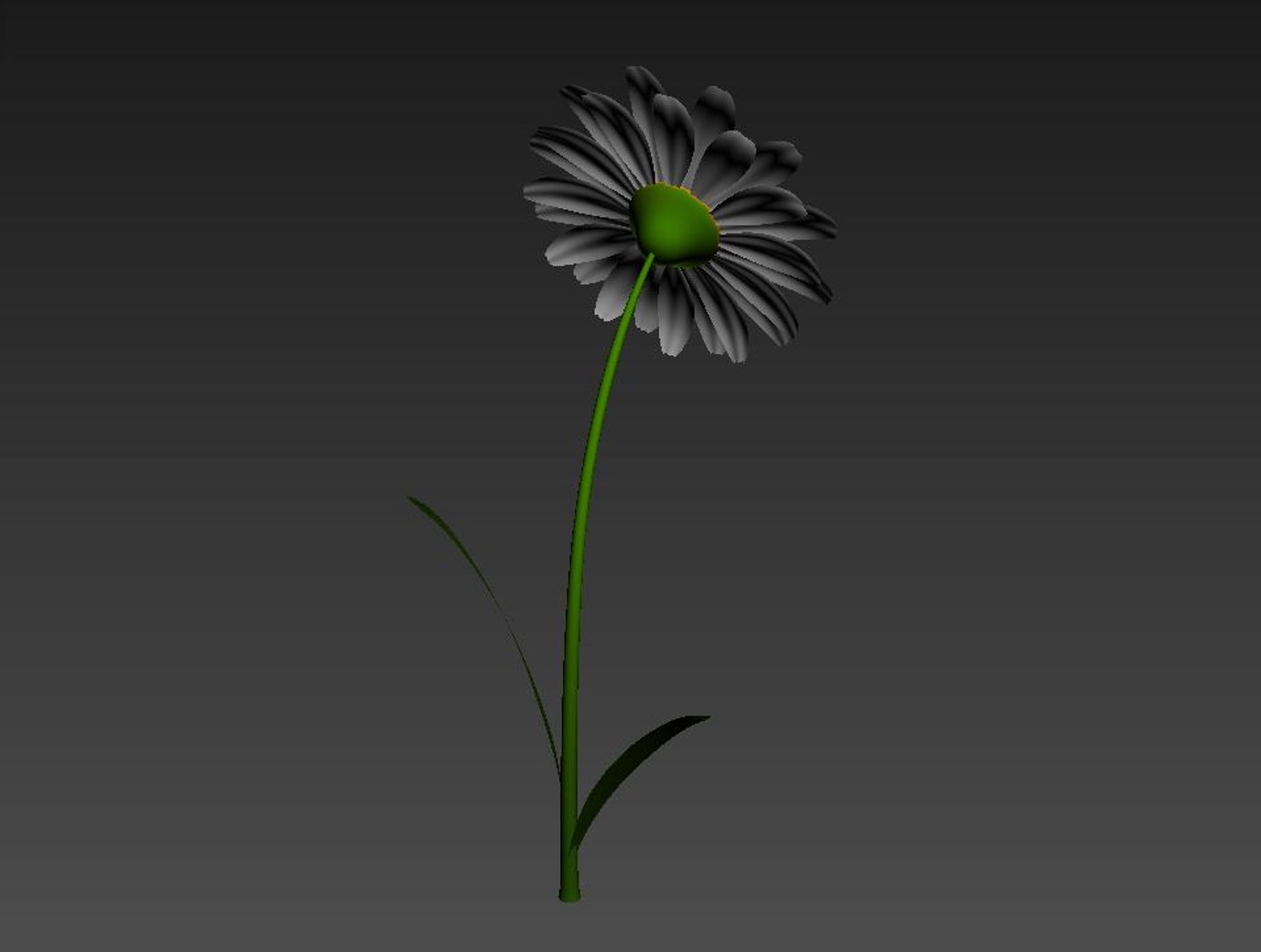 3D Daisy Cartoon Model - TurboSquid 1369550