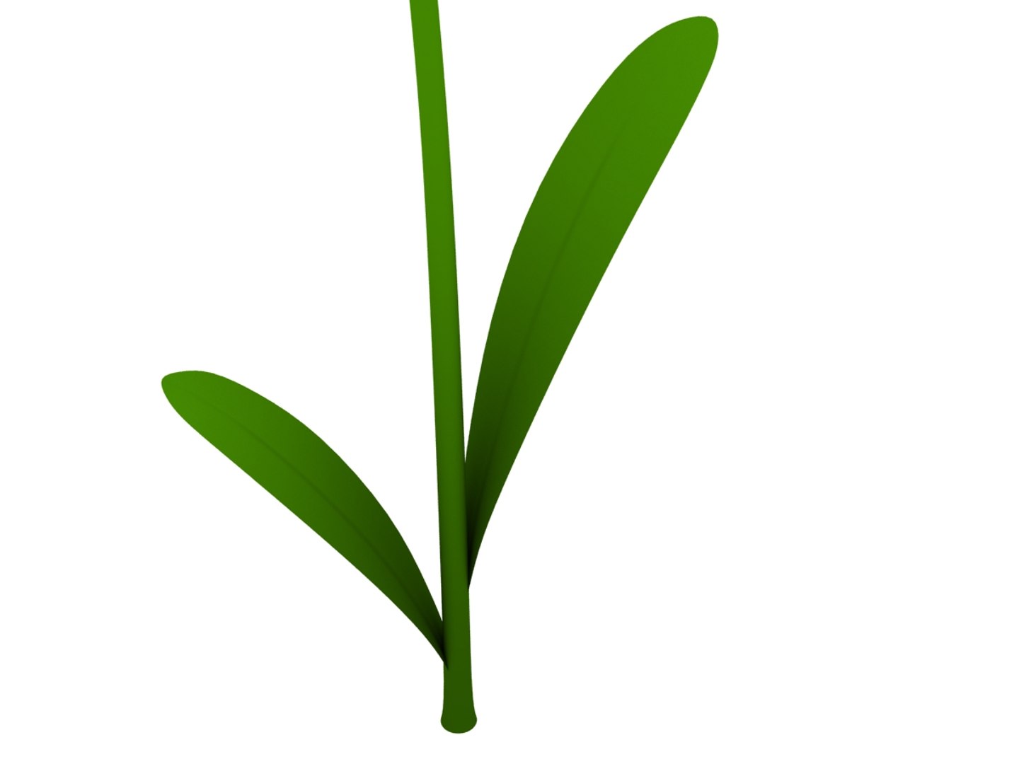 3D Daisy Cartoon Model - TurboSquid 1369550