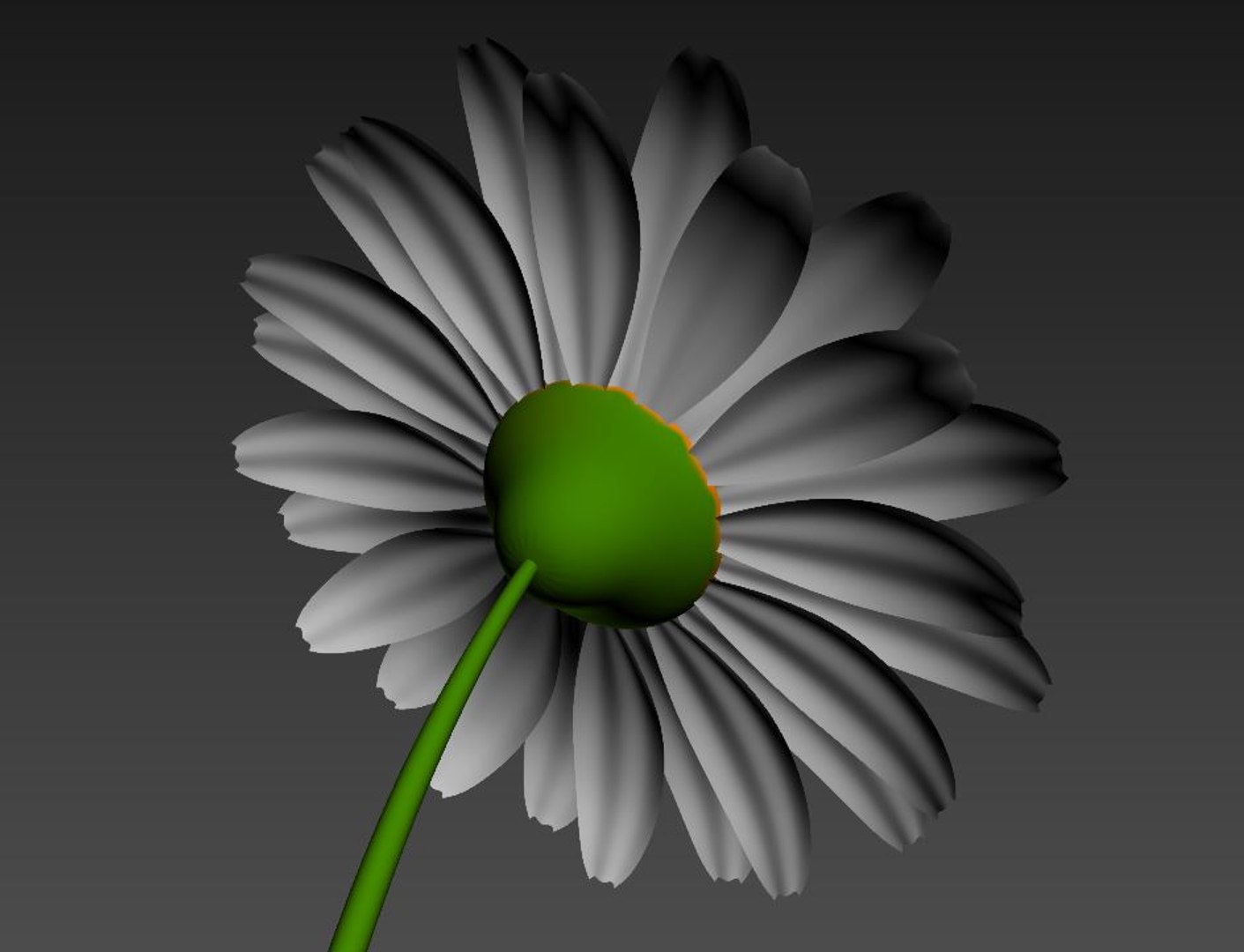 3D Daisy Cartoon Model - TurboSquid 1369550