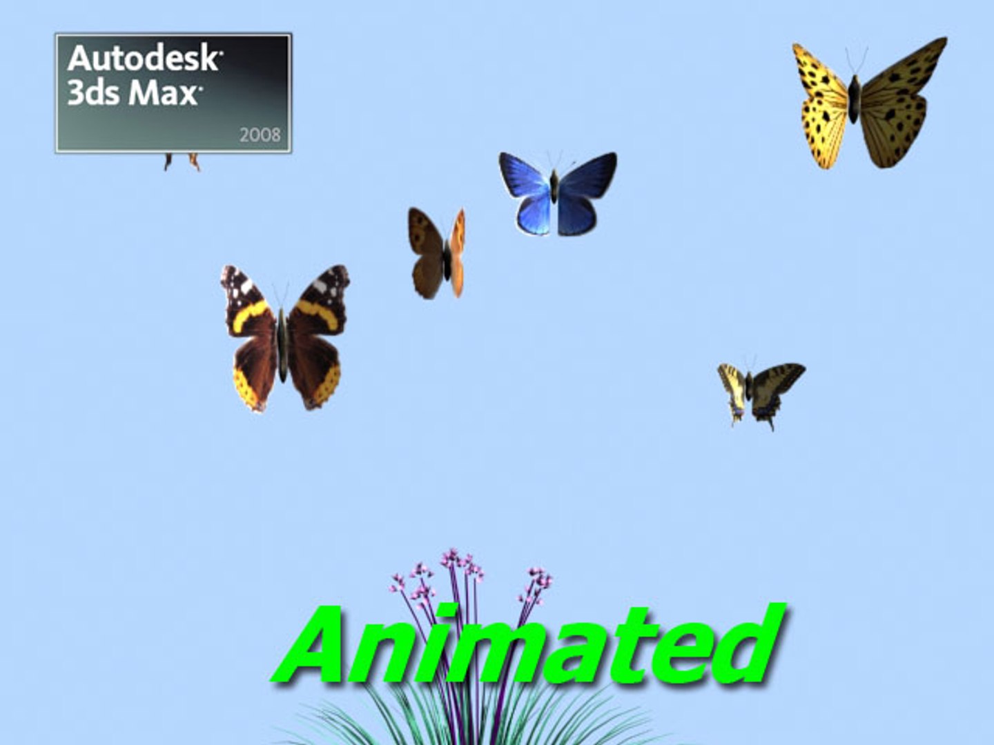 max butterflies assorted 2008 animation
