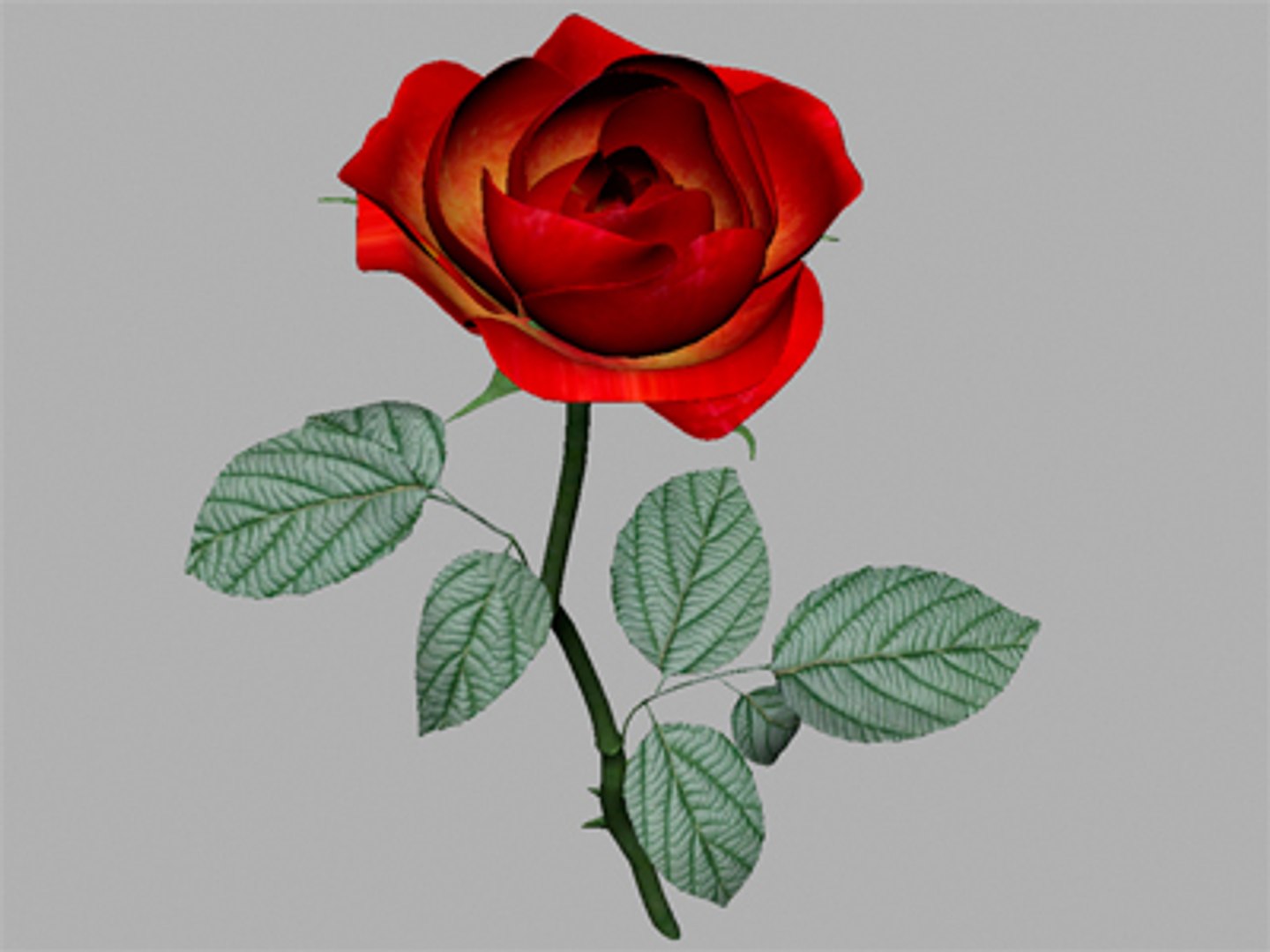 3d Rose Flower Model