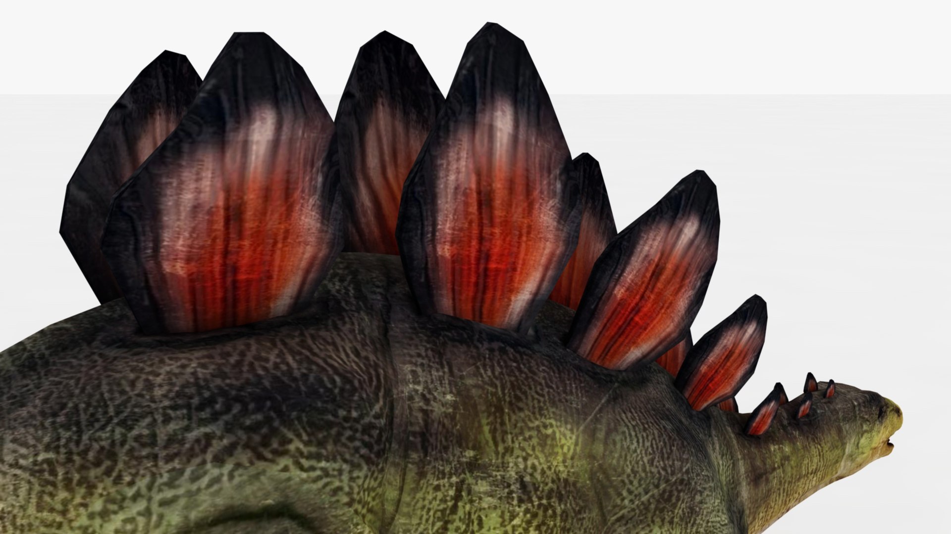 Stegosaurus Rigged And Animated 3D Model - TurboSquid 2348399