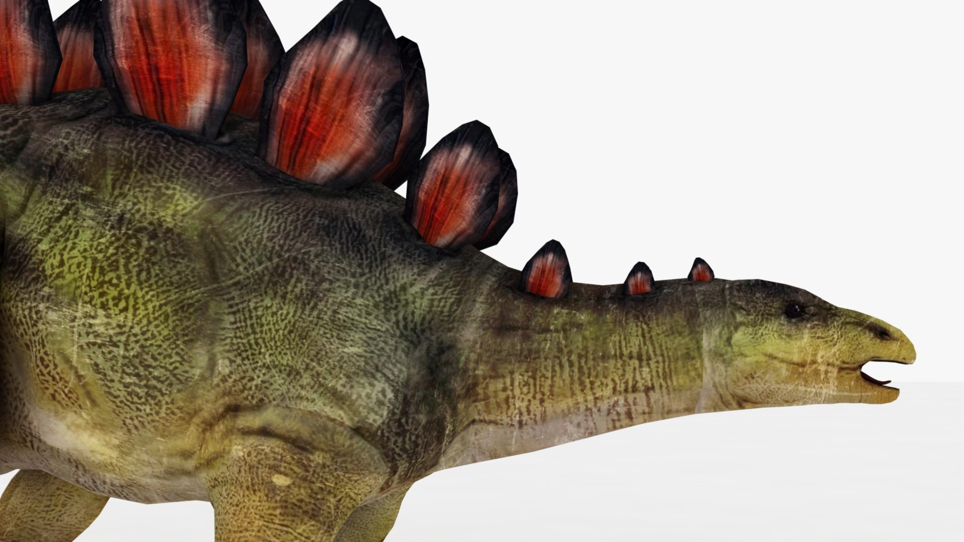 Stegosaurus Rigged And Animated 3D Model - TurboSquid 2348399