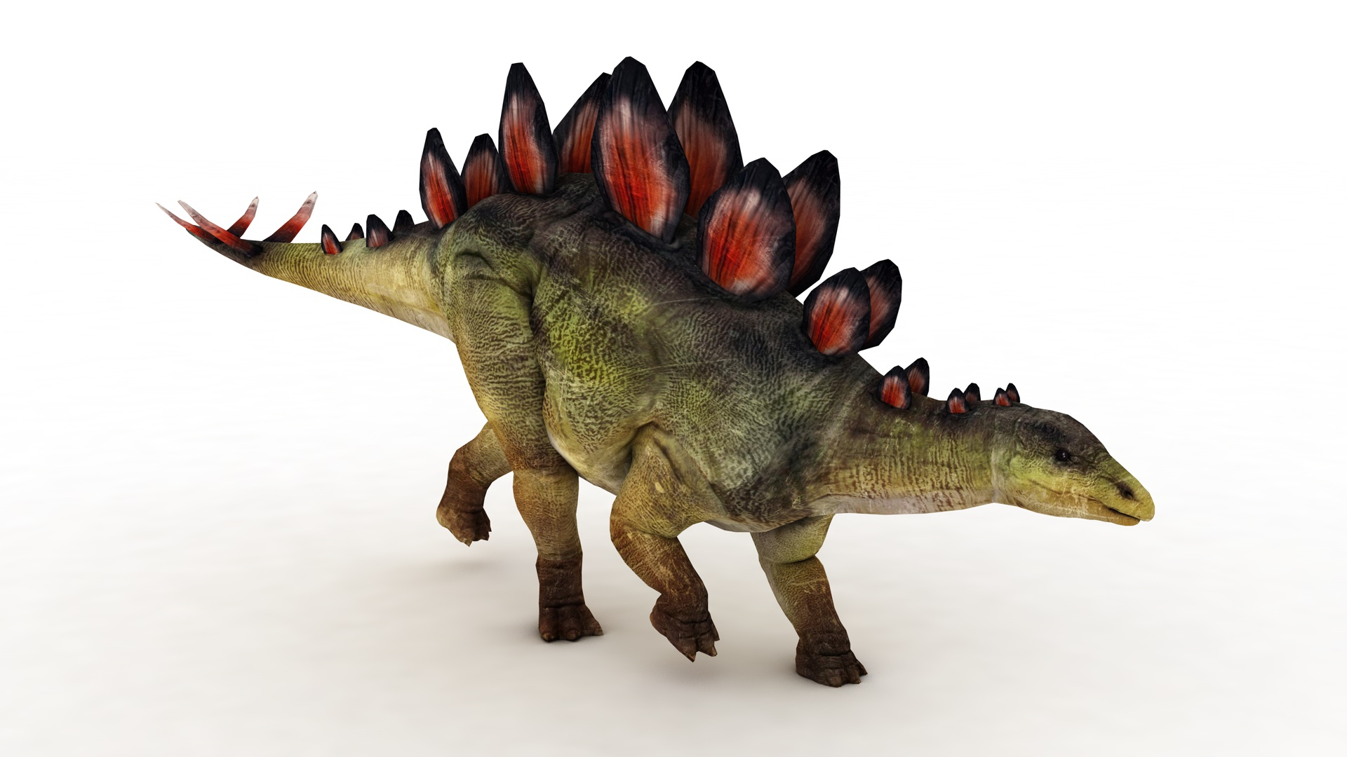 Stegosaurus Rigged And Animated 3D Model - TurboSquid 2348399