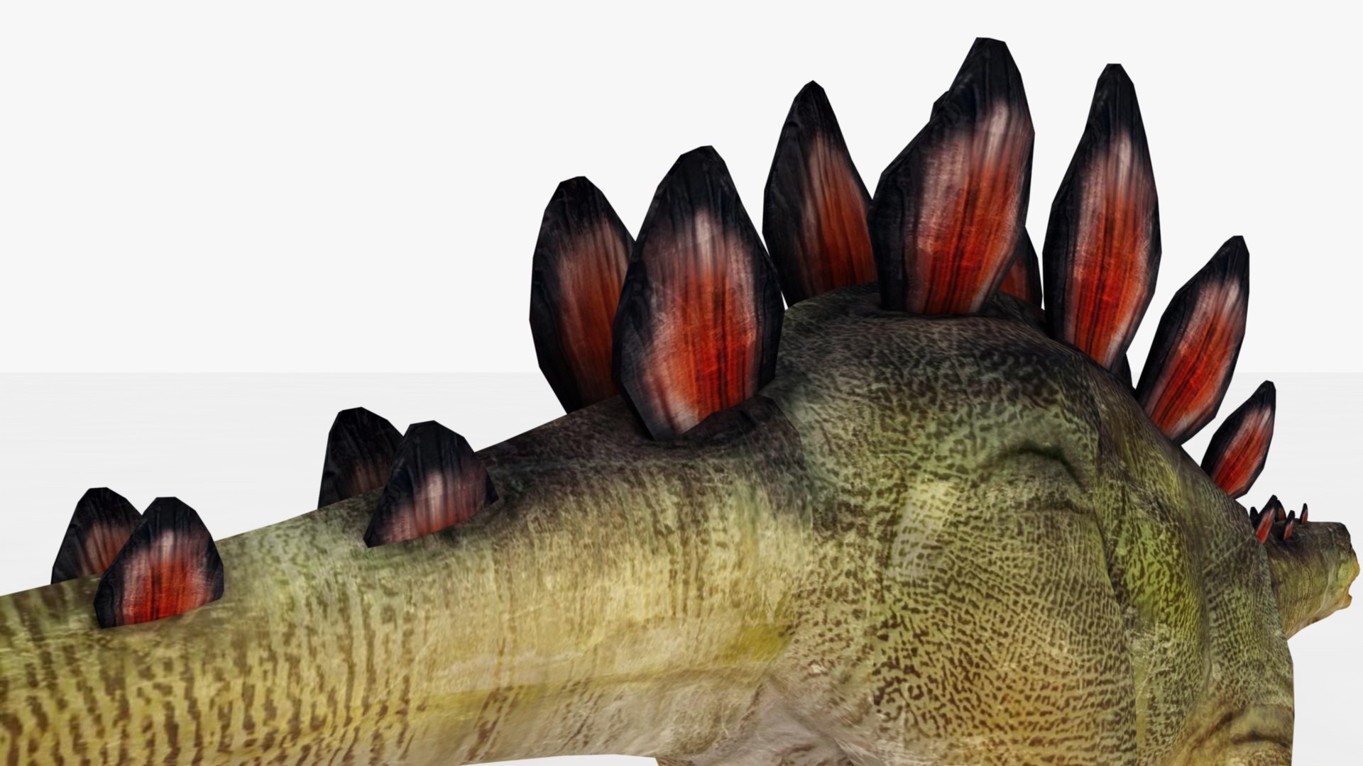 Stegosaurus Rigged And Animated 3D Model - TurboSquid 2348399