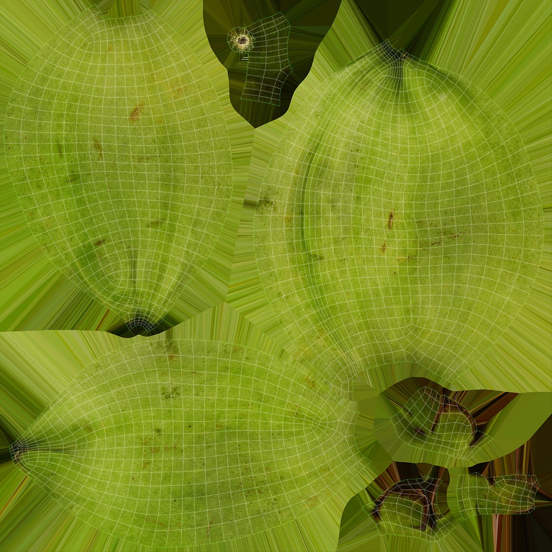 Whole Guava with Slice 3D model - TurboSquid 1763435