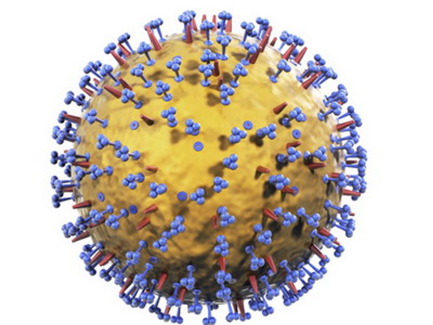 3d Model Influenza Virus