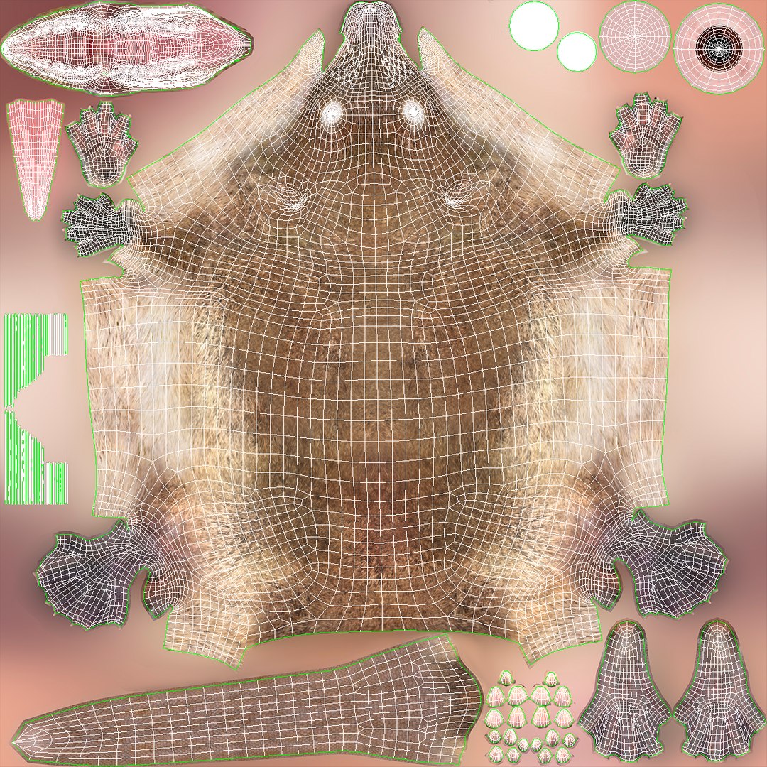 Desman Idle Pose 3D Model - TurboSquid 2191665