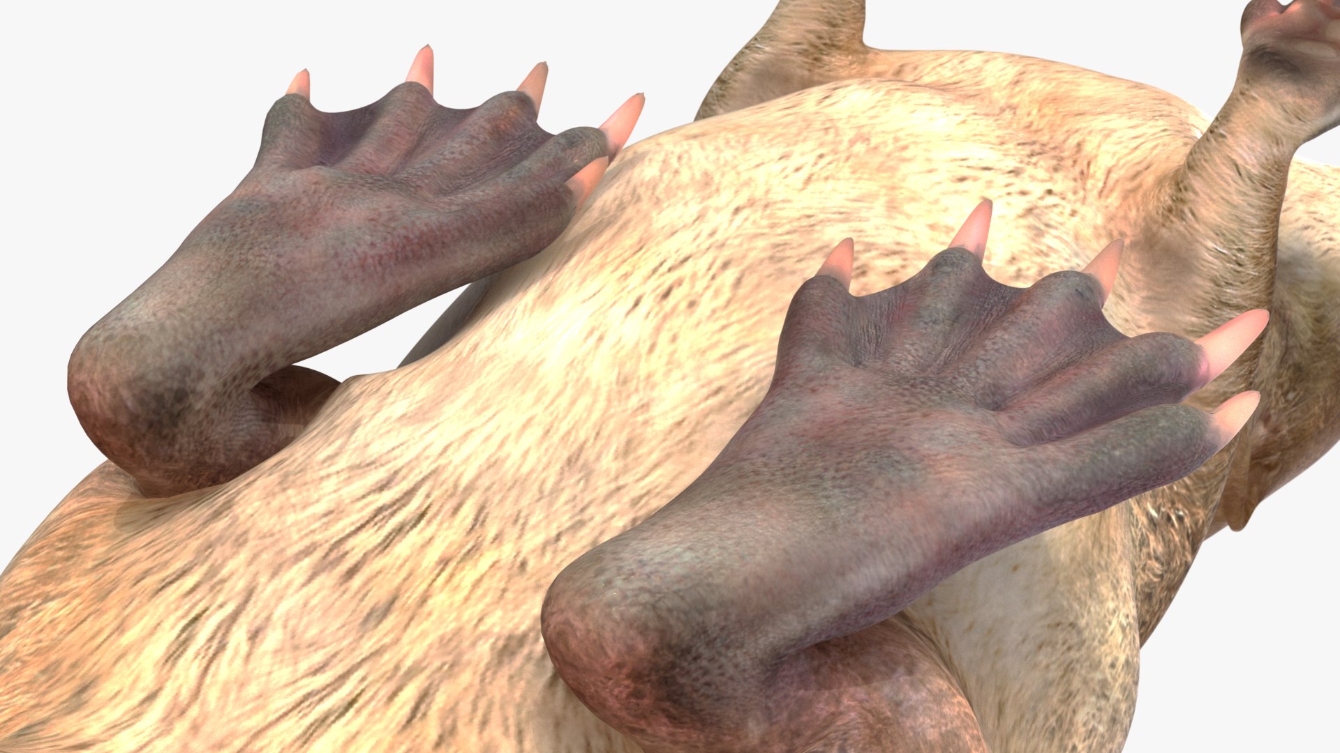 Desman Idle Pose 3D Model - TurboSquid 2191665