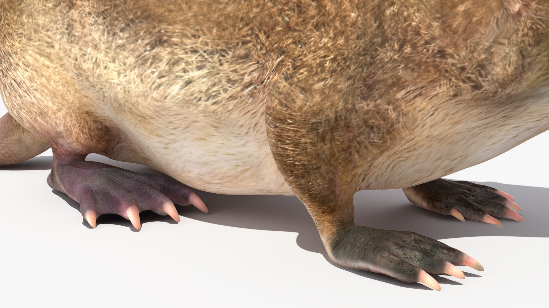 Desman Idle Pose 3D Model - TurboSquid 2191665